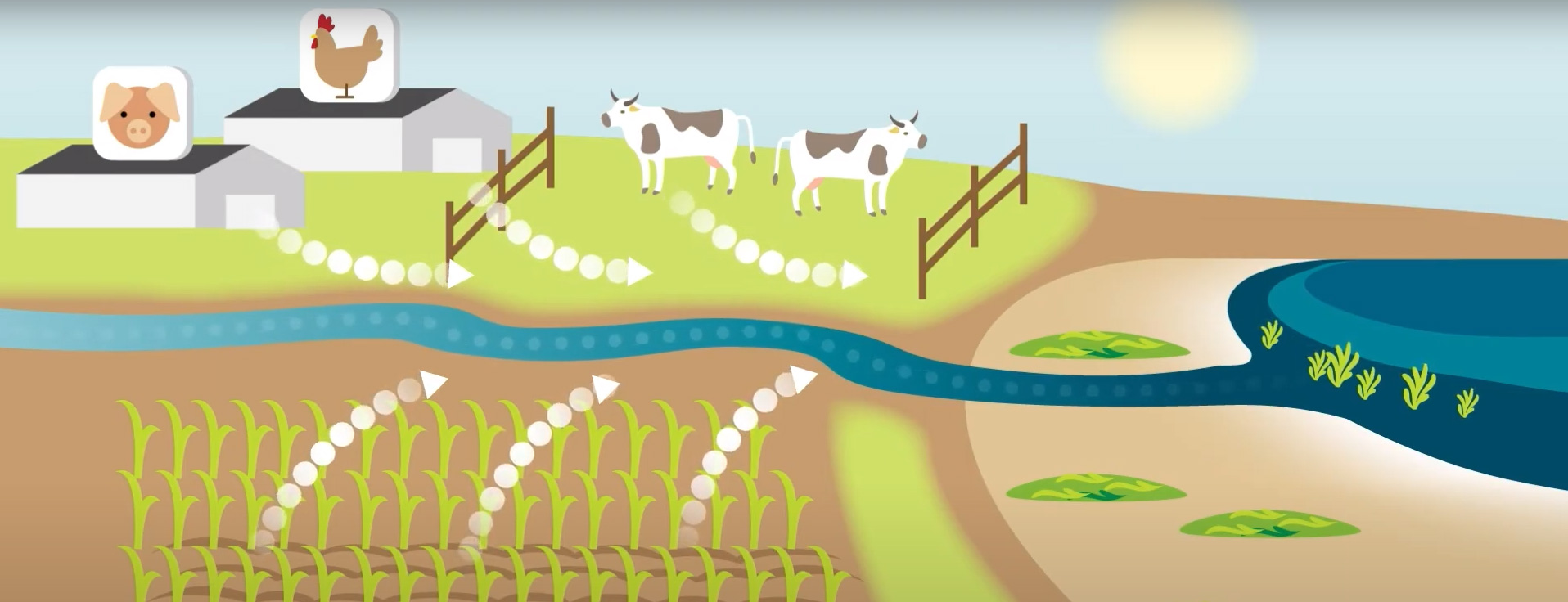 3 minutes pour comprendre : les algues vertes en Bretagne - Algues ... 3 minutes pour comprendre : les algues vertes en Bretagne - Algues ...